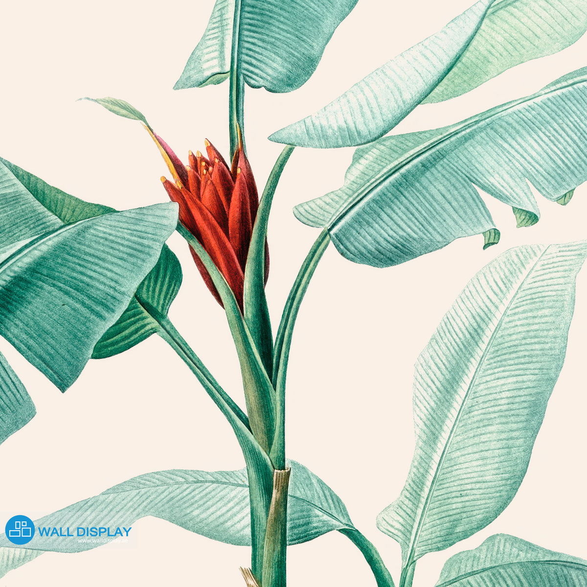 Exotic Flora Wall Mural in Dubai, Abu Dhabi and all UAE